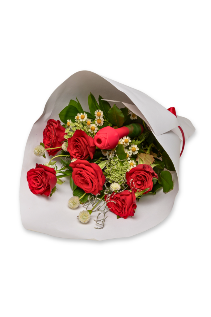 Half Dozen Red Roses Bouquet & Rose Toy | O-MY